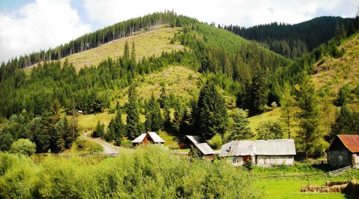 Cazare in Pensiuni din Suceava: 98 oferte de vacanta